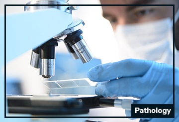 Grintack Interactive Solutions Private Limited